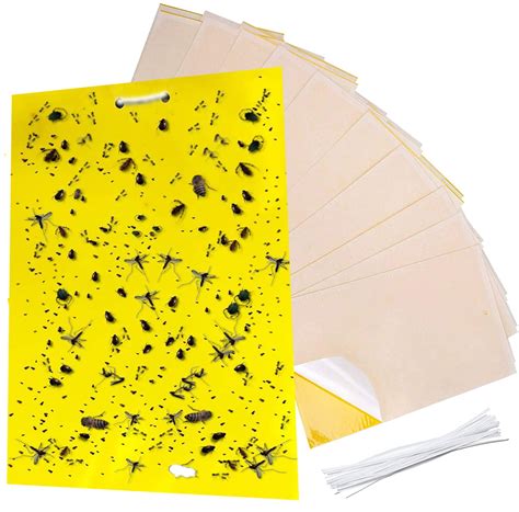 Lightsmax 20 Pack Dual Sided Yellow Sticky Traps Flying Plant Insect