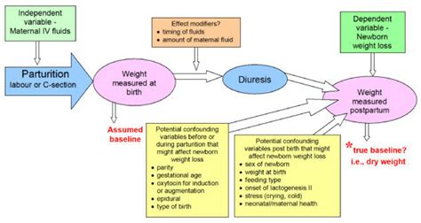 Conceptual Framework Includes Potential Confounding Variables And