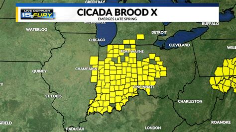 Cicadas 2021 Map Cicada Brood X Map 2021 When And Where Billions Of