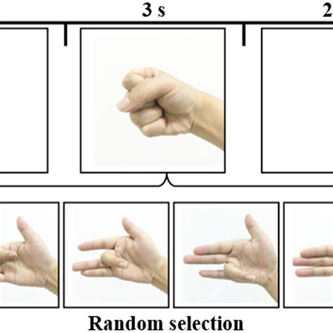 The Paradigm For The Electromyography Emg Recording Download