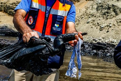 Impactantes Fotografías Que Registran La Magnitud Del Derrame De