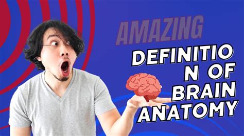 Amazing Definition Of Brain Anatomy Youtube