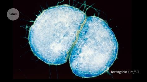 The First New Gonorrhoea Antibiotic In Decades Could Address A Worrying
