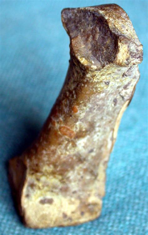 22 An Intentionally Broken Alabaster Figurine Download Scientific