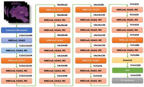 Computer Aided Diagnosis System For Blood Diseases Using Efficientnet