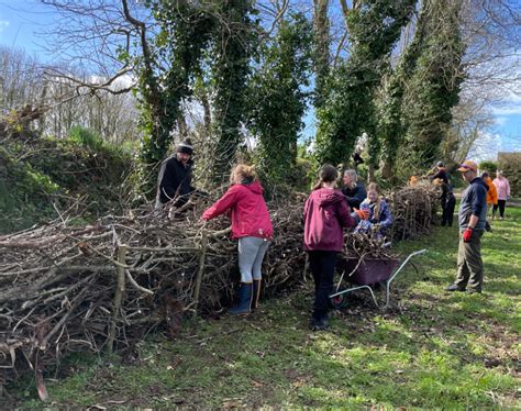 Dead Hedging Initiative Wins Best Conservation Project Award Jersey