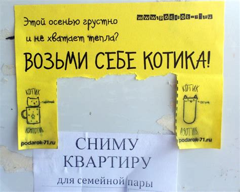 Объявления с юмором 8 фото Стрит артрит Дзен