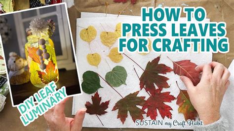 How To Press Fall Leaves And Diy Autumn Leaf Luminary🍂 Youtube