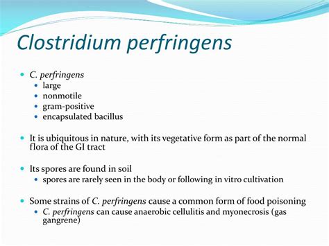 Ppt Non Invasive Enteritis And Food Poisoning Powerpoint Presentation