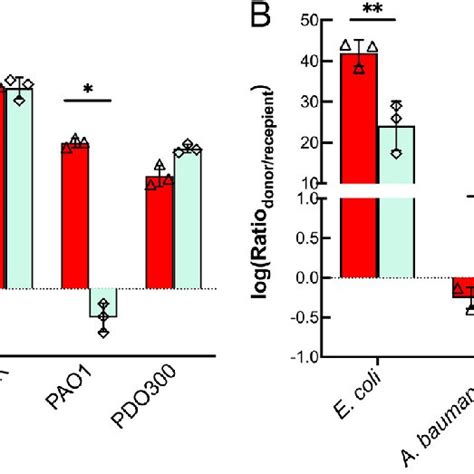 Invasion Assaybacterial Internalization Assay Of P Aeruginosa Lysza7