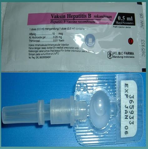 Imunisasi Hepatitis B Pusat Imunisasi