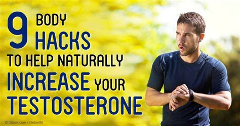 Testosterone Naturally Build Testosterone Build Information Center