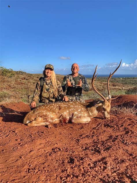 From Surf To Stalk Why Axis Deer Hunting Belongs On Your Hawaii Bucket