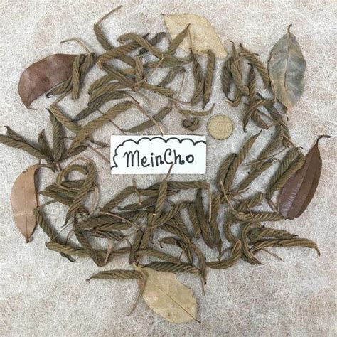 5 Biji Rempah Kolase Biji Kayu Ules Kayu Ulir Ules Ules Properti Foto Dekorasi Rustik Lazada