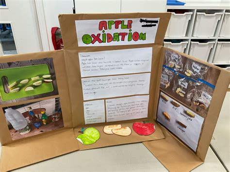 Lapal Primary Science Fair