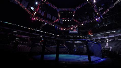 Octagon Ufc Wallpaper