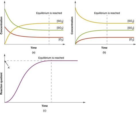 Understanding Model 2 Unlocking The Answers To Reaching Equilibrium