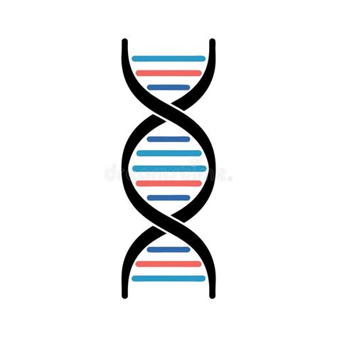Dna Double Helix Simple Vector Illustration For Educational And