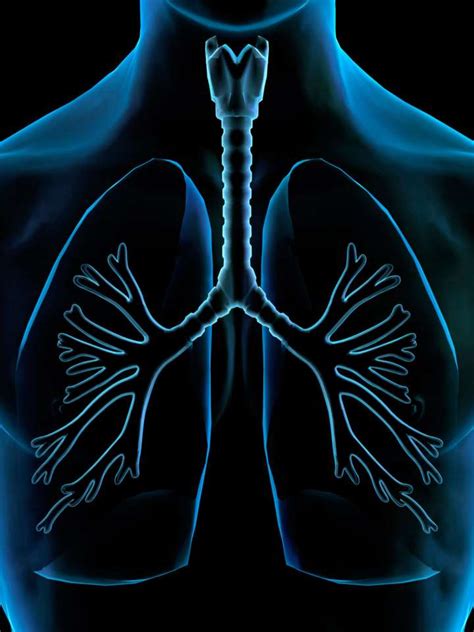 Connective Tissue Disease Interstitial Lung Disease Ctd Ild Ucla Health