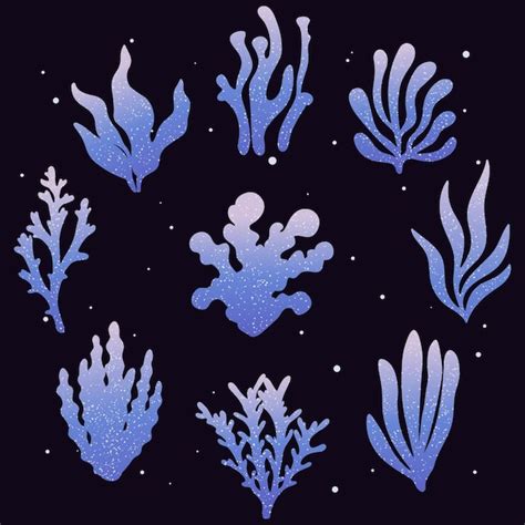 Premium Vector Set Of Fantasy Seaweed Illustrations With A Gradient