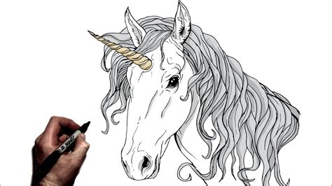 How To Draw A Realistic Unicorn Realistic Unicorn Drawing Templates