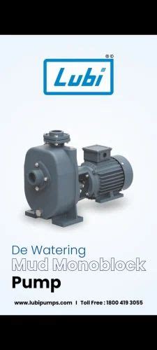 Lubi Mud Pump At ₹ 15970 Piece Mud Pump In Khambhaliya Id 2849256374891