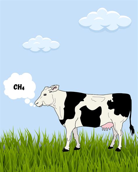 Can We Engineer Cows To Emit Less Methane