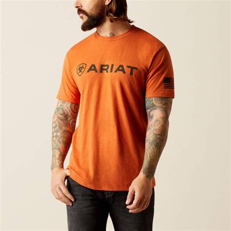 Camiseta Ariat Shield Flag Ss 10054196