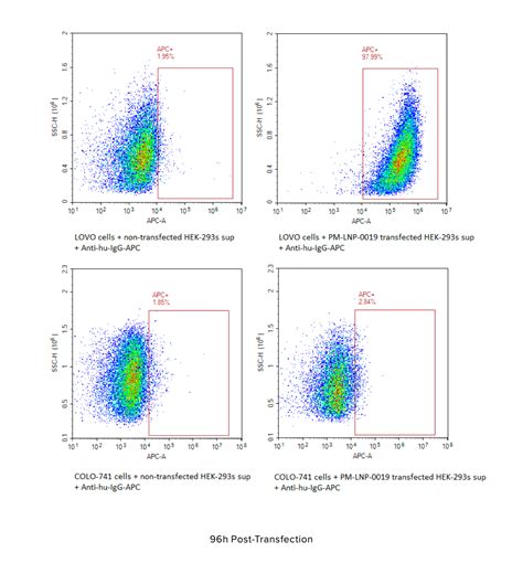 Anti Epcam Cd3 Bispecific Mrna Lnp Pm Lnp 0019 Products Promab