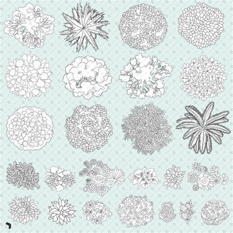 Flat Vector Vegetation Top View 2 Toffu Co