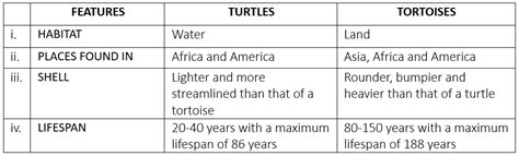 Information Transfer Types Examples Exercises