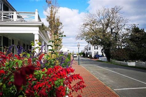 3 Hour Marthas Vineyard Island Tour From Oak Bluffs The Abroad Guide