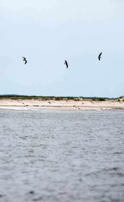 Horn Island A Slice Of Gulf Coast Wilderness In Mississippi
