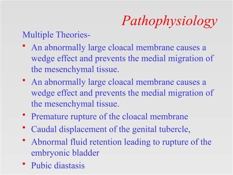 Bladder Exstrophy Epispadias Complex Pptx