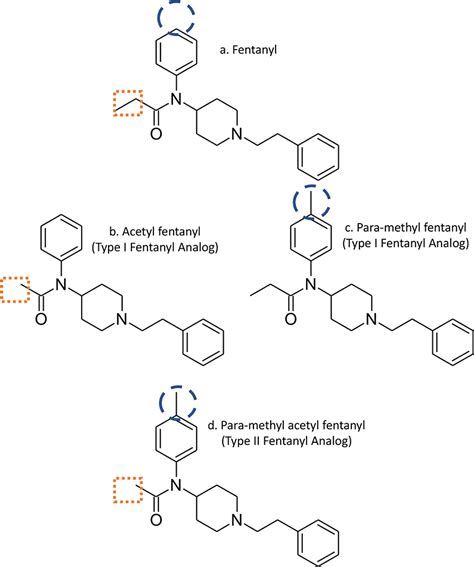 Mass Spectral Similarity Mapping Applied To Fentanyl Analogs Pmc
