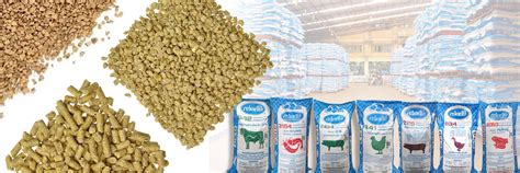 Central Poultry Processing Co Ltd By Centaco