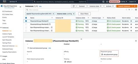 Leveraging Amazon Eks Managed Node Group With Placement Group For Low Latency Critical