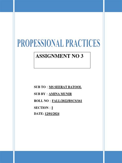 Finall Ppp Assignment Roll No 161 Pdf