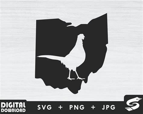 Ohio Peasant Hunting Map Svg Pheasant Svg Hunting Svg Hunting Season