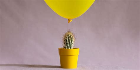 Citywire Selector Chart Of The Week Private Markets Secondaries