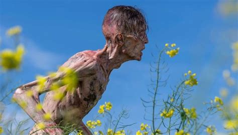 The Murder Of Sonic The Hedgehog Recensione Fin Dove Arriva Lo Scherzo