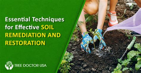 Essential Techniques For Effective Soil Remediation And Restoration