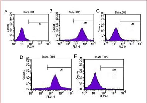 Expression Of Surface Antigens Of Cultured Umbilical Cord Mesenchymal