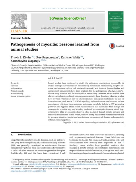 Miositis Pdf Inflammation Dendritic Cell