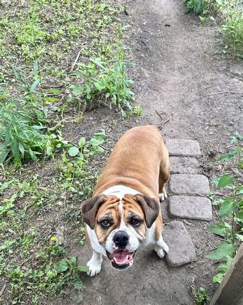 Learn More About Sex Therapy And Somatic Sex Therapy How Can Sex