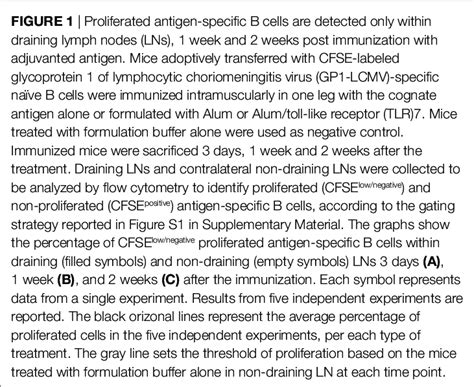 Proliferated Antigen Specific B Cells Are Detected Only Within Download Scientific Diagram