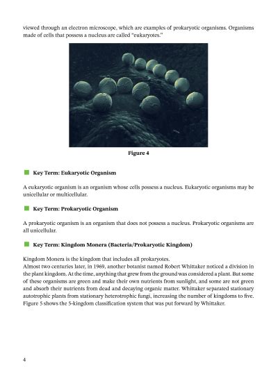 Lesson Systems Of Classification Nagwa