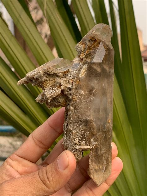 Garden Quartz Crystal Cluster With Rare Anatase Skardu Pakistan Etsy