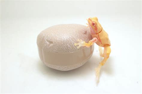 The Captivating White Paneled Frog Scale Toy Figure Stock Image