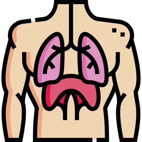 Respiratory System Detailed Straight Lineal Color Icon